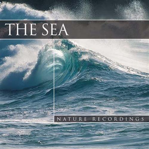 The Sea (CD) | TarotHuset